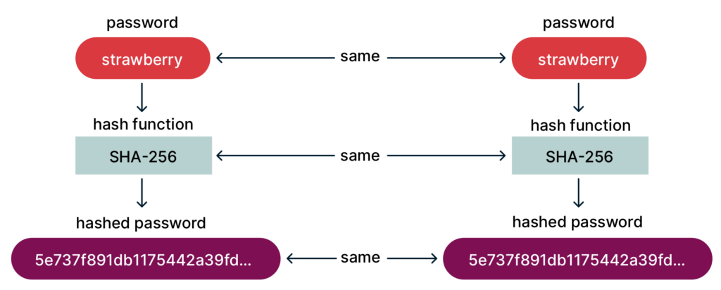 Password Hashing and Salting Explained | ExpressVPN Blog