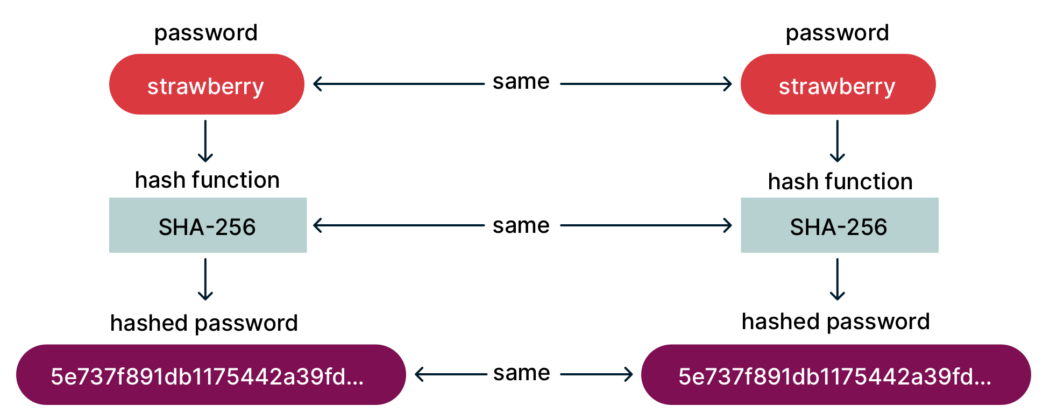 Password Hashing and Salting Explained | ExpressVPN Blog