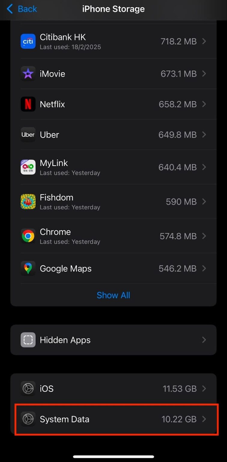 How to Clear System Data on iPhone | Quick Solutions & Tips