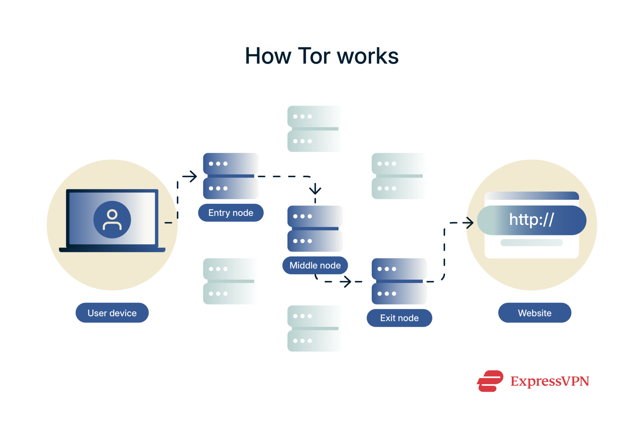 What is Tor? How does it work and is it safe to use | ExpressVPN